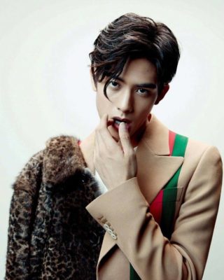 40 แฟชั่นนายแบบหนุ่มจีนวัย 18 ปี “Song Wei Long” หล่อละมุนกรุบกริบเวอร์ ...