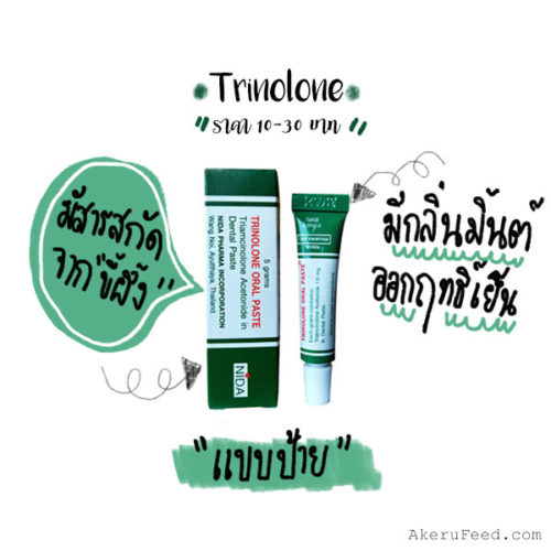 ร้อนในจงหายไป!! 12 ยาทาแผลในปาก ร้อนในหายชัวร์ – AKERU