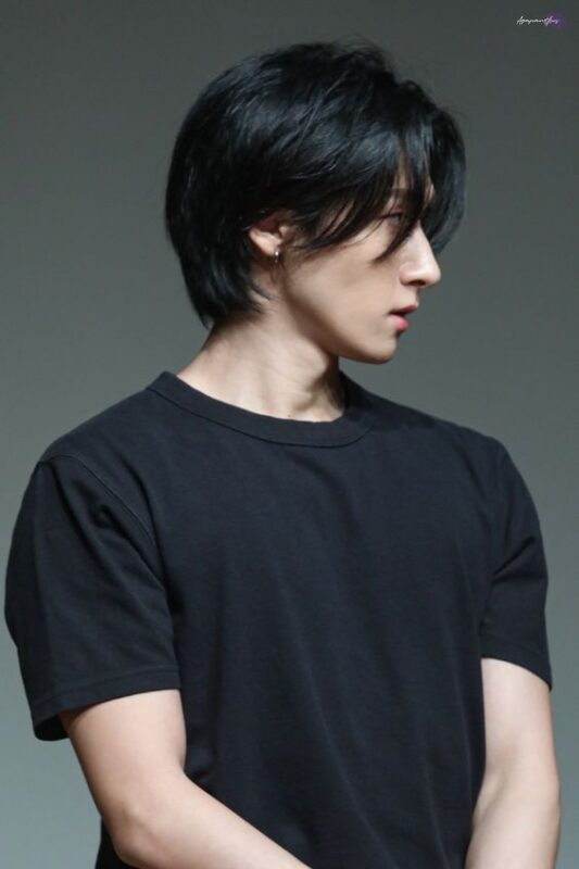 40 ไอเดียทรงผมโอปป้าเกาหลี 2021 ครึ่งปีหลังจัดทรงไหนดี? – AKERU