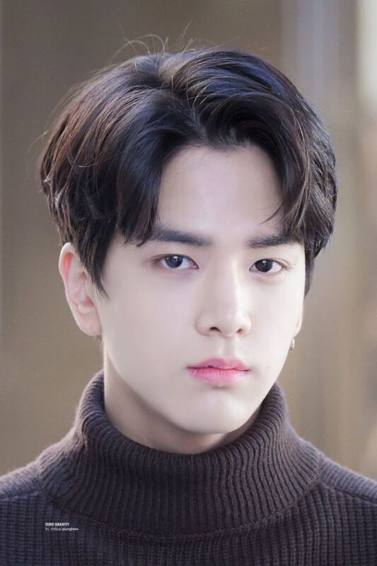 50 ไอเดียทรงผม Comma ฉบับไอดอลหนุ่มหล่อ ดาเมจแรงมาก! – AKERU