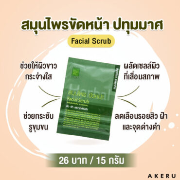 12 สมุนไพรพอกหน้าประจำปี 2023 พร้อมสปาผิวให้สวยสุขภาพดีแบบธรรมชาติ – AKERU