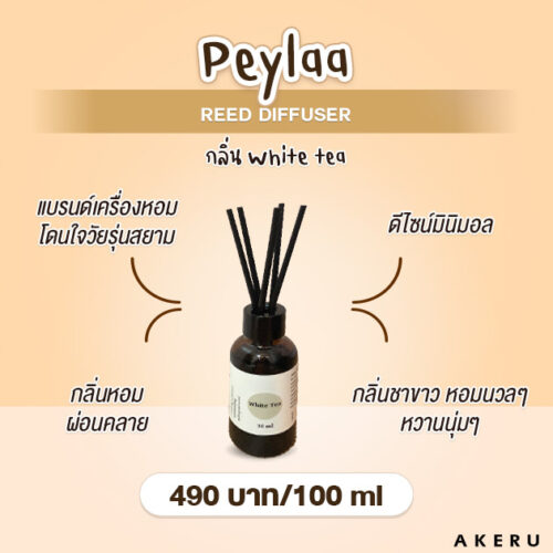 12 ก้านไม้หอม ยี่ห้อไหนดี ไอเทมเด็ดห้องหอมละมุนสุดผ่อนคลาย – AKERU